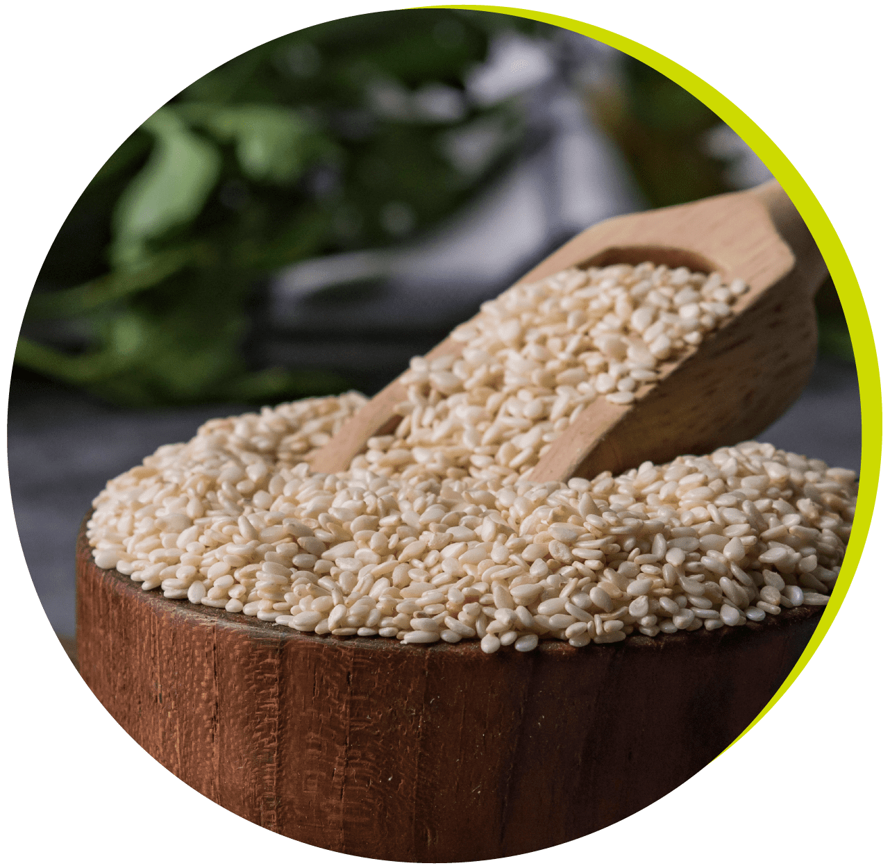 Hulled Sesame Seed - Agregare